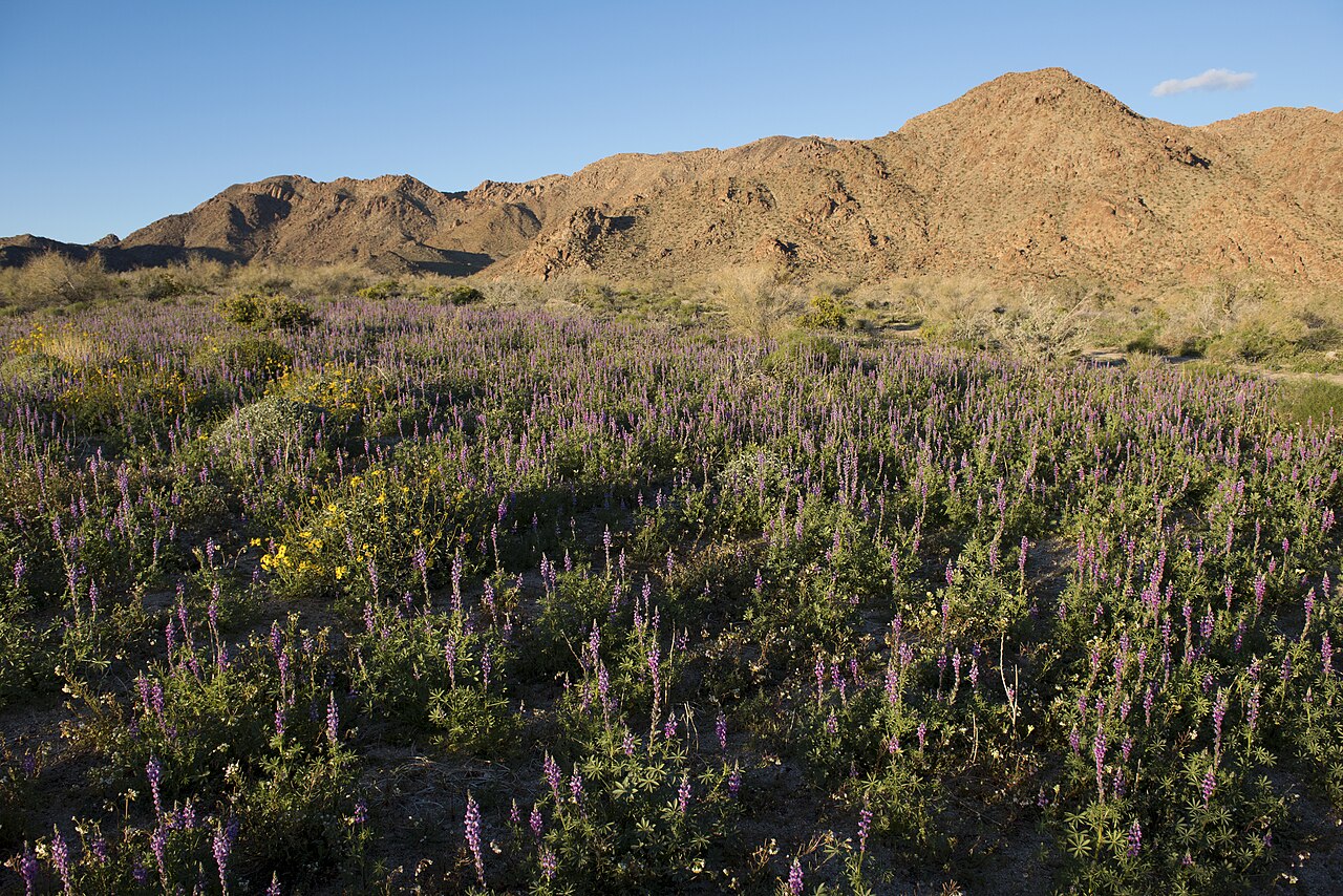 One small Arizona town has ancient ruins, a wine trail, and a canyon ...