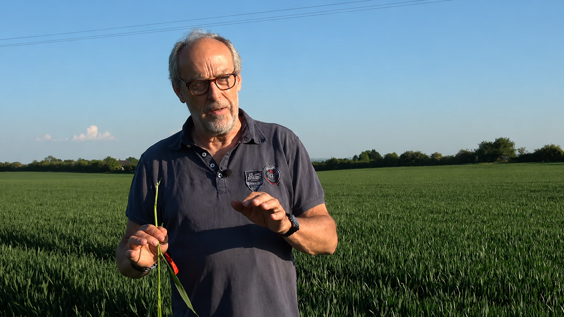 Growing profit or protecting nature: the big farming dilemma