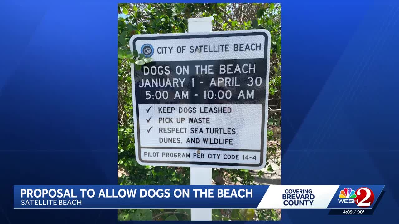 Proposal to allow dogs on Satellite Beach in Brevard County