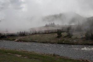 Yellowstone grizzly bear attack site was closed to spring hiking until ...