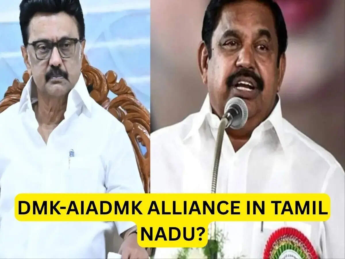 Vijay's TVK struggling to form Tamil Nadu government. Arch rivals DMK ...