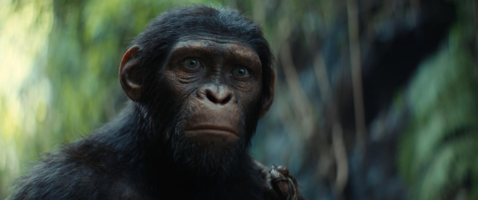 Planet of the Apes to be rebooted by the makers of Fantastic Four ...