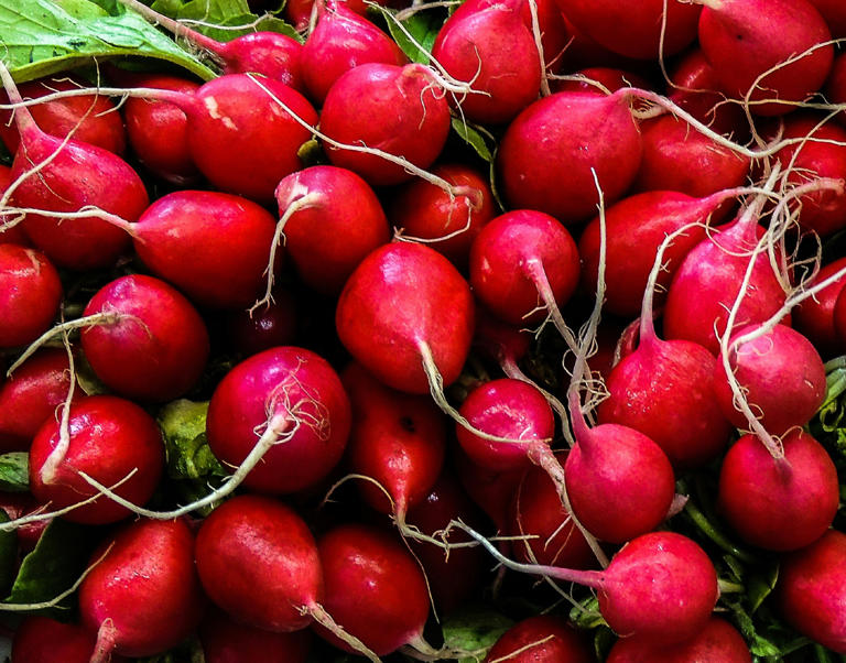 These 4 fresh salads showcase springtime vegetables