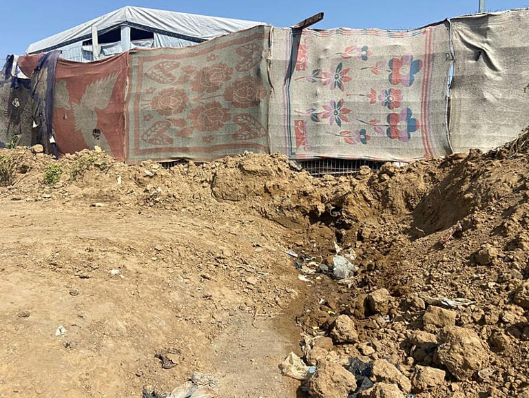 Nueva crisis sanitaria en Gaza: miles de roedores acosan a los ...