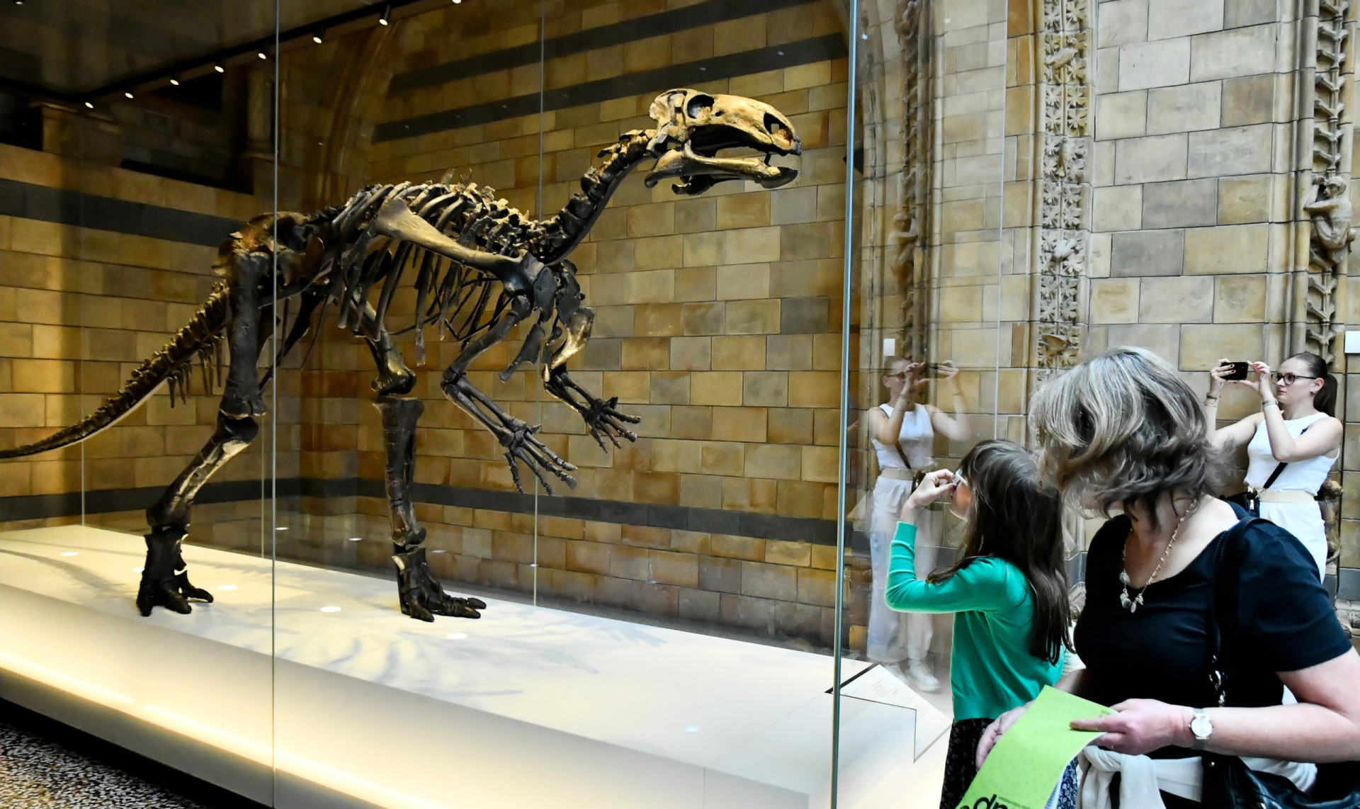 What science reveals about dinosaurs: facts and discoveries