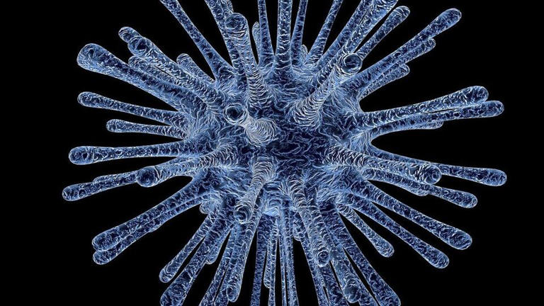 Viral '2026: Hantavirus' tweet from 2022 leaves internet spooked as WHO ...