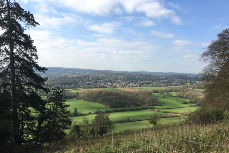 Incredibly picturesque Surrey village opens gates to 10 private gardens