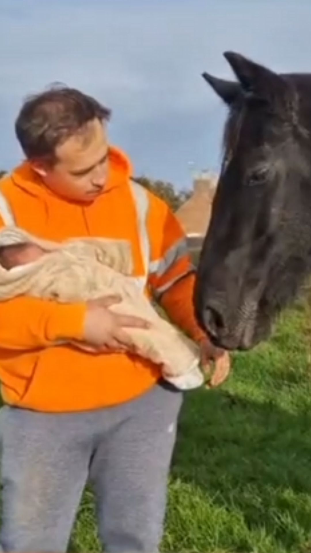 Newborn Baby Meets Family Horse For The First Time Wholesome Moment