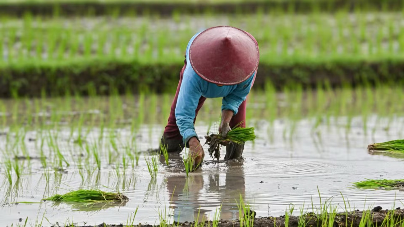 ASEAN-EU summit flags massive farm losses, pushes for green shift