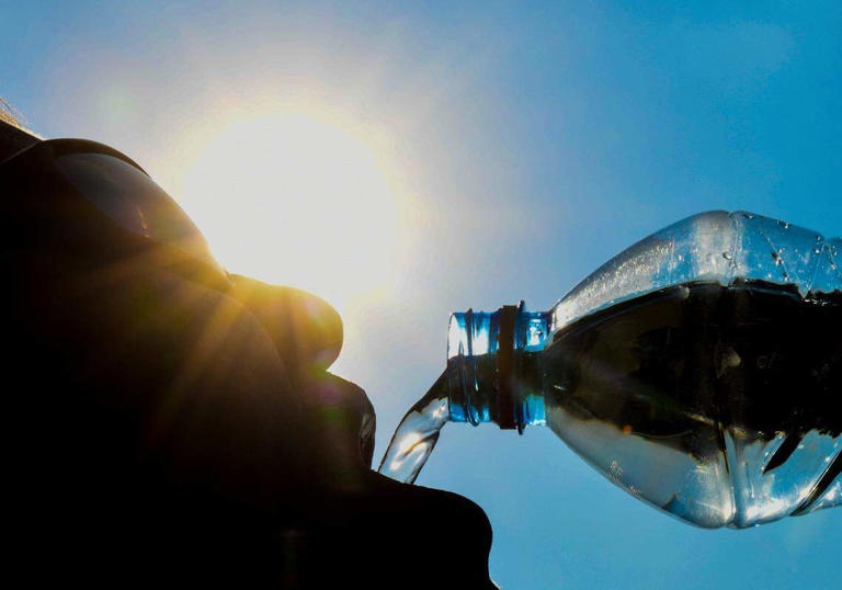 Electrolyte brands under review: What LMNT, Liquid IV., Nuun and others ...