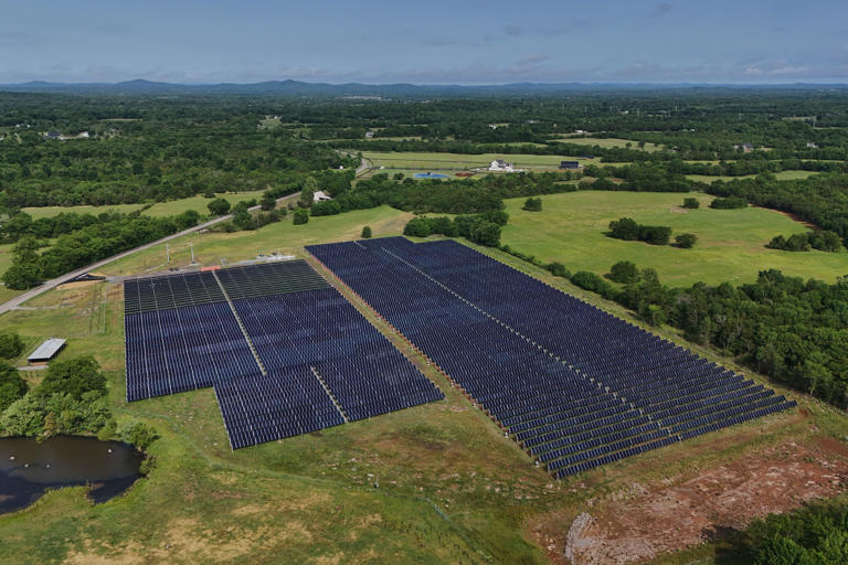 Solar ranch aims to prove grazing cattle under the panels is a win-win