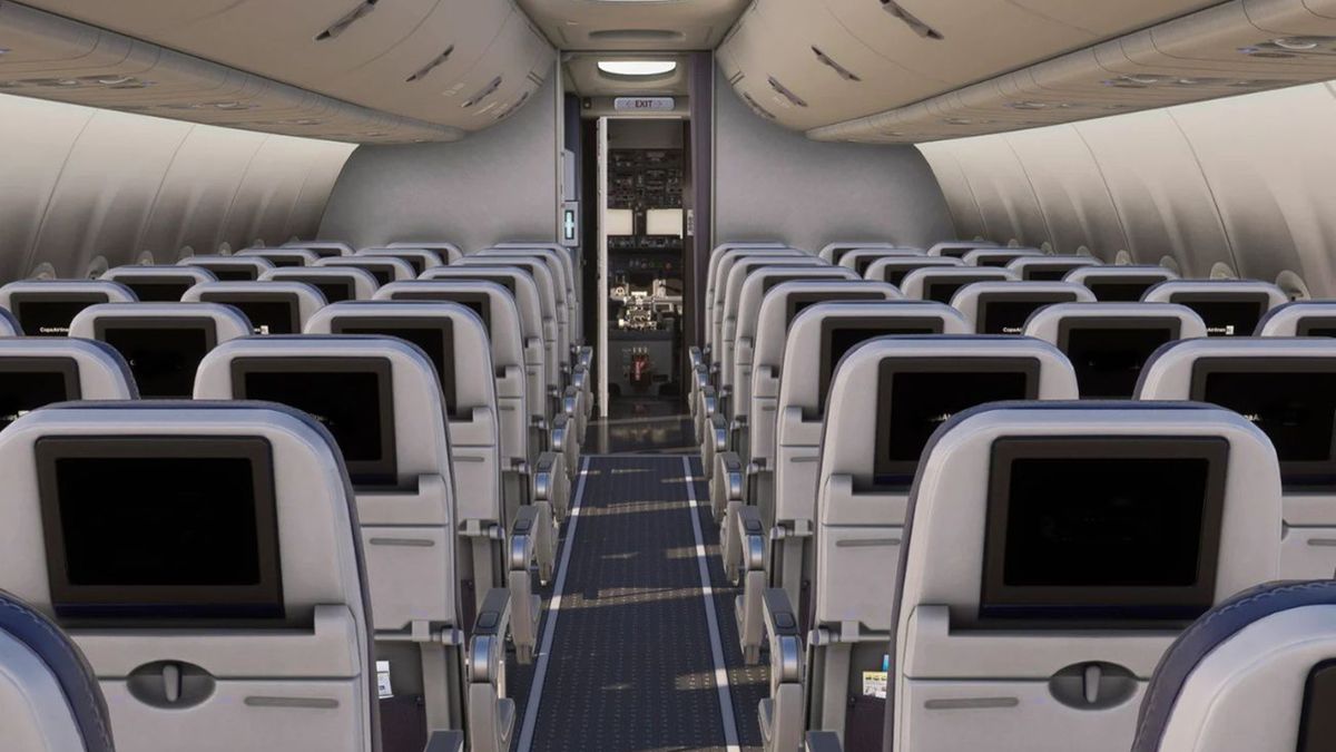 ¿Qué es eso?: mantuvieron relaciones en pleno vuelo y cayeron de la ...