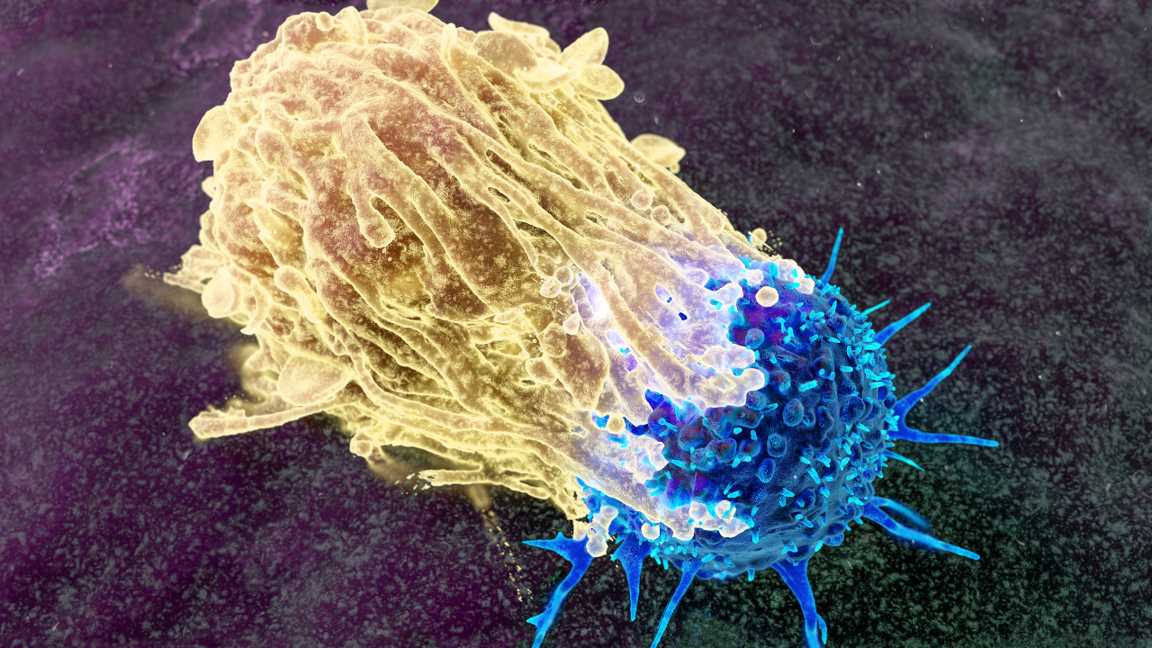 Doctors are warning about cancer’s ‘pre-diagnosis phase’ where symptoms ...