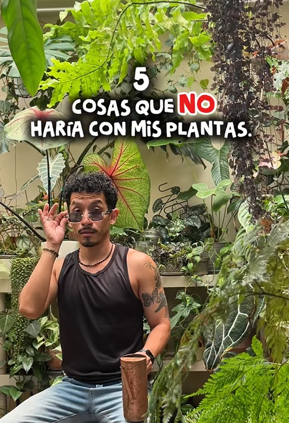Errores comunes al cuidar plantas en casa que muchos siguen cometiendo