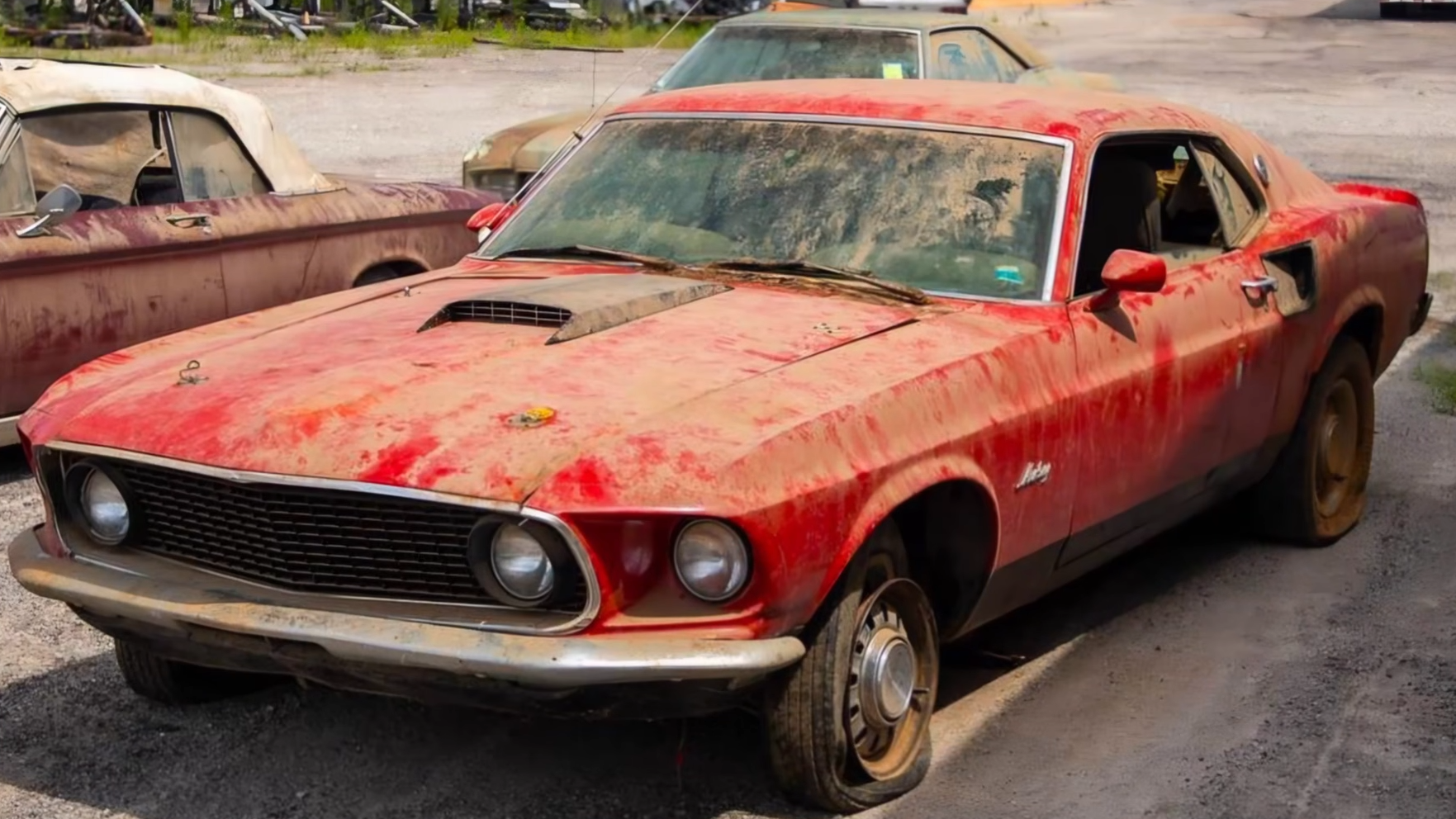 The legend of the abandoned Mustang - and we found it