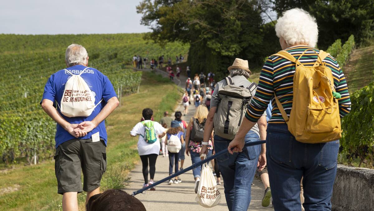 Pensionskassen stehen finanziell wieder besser da: Mehr Zins für ...