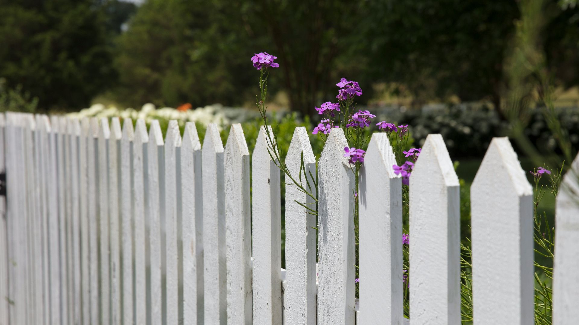 My neighbor built an ugly fence I hate right on the property line—can I ...