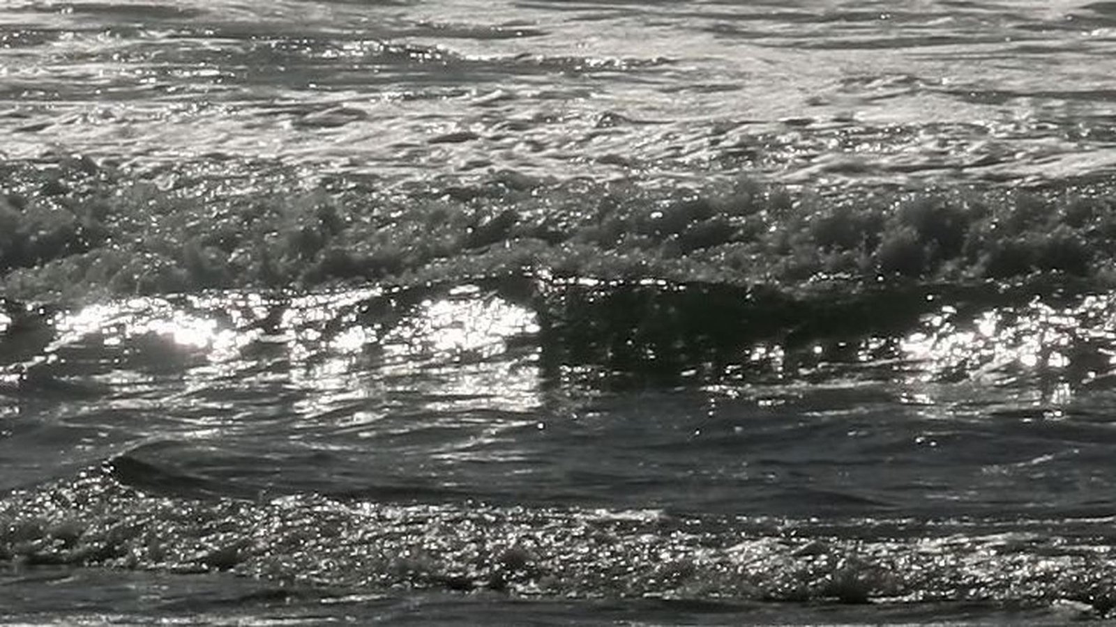 Why ocean tides rise and fall
