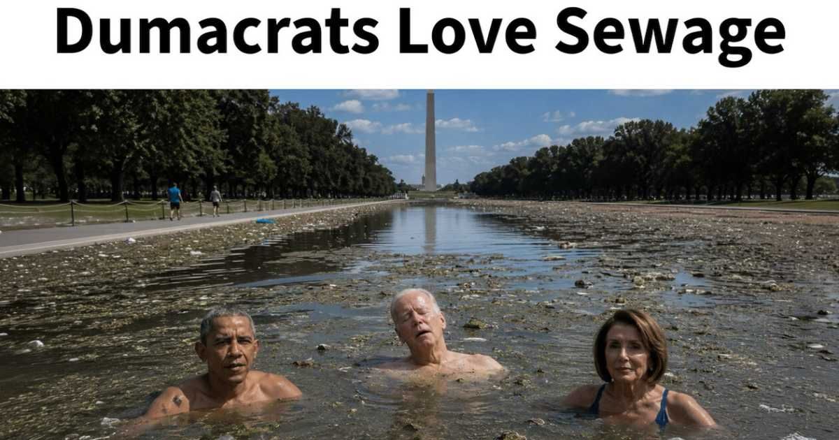 Trump shares sewage meme targeting Obama, Biden, Pelosi in Truth Social ...