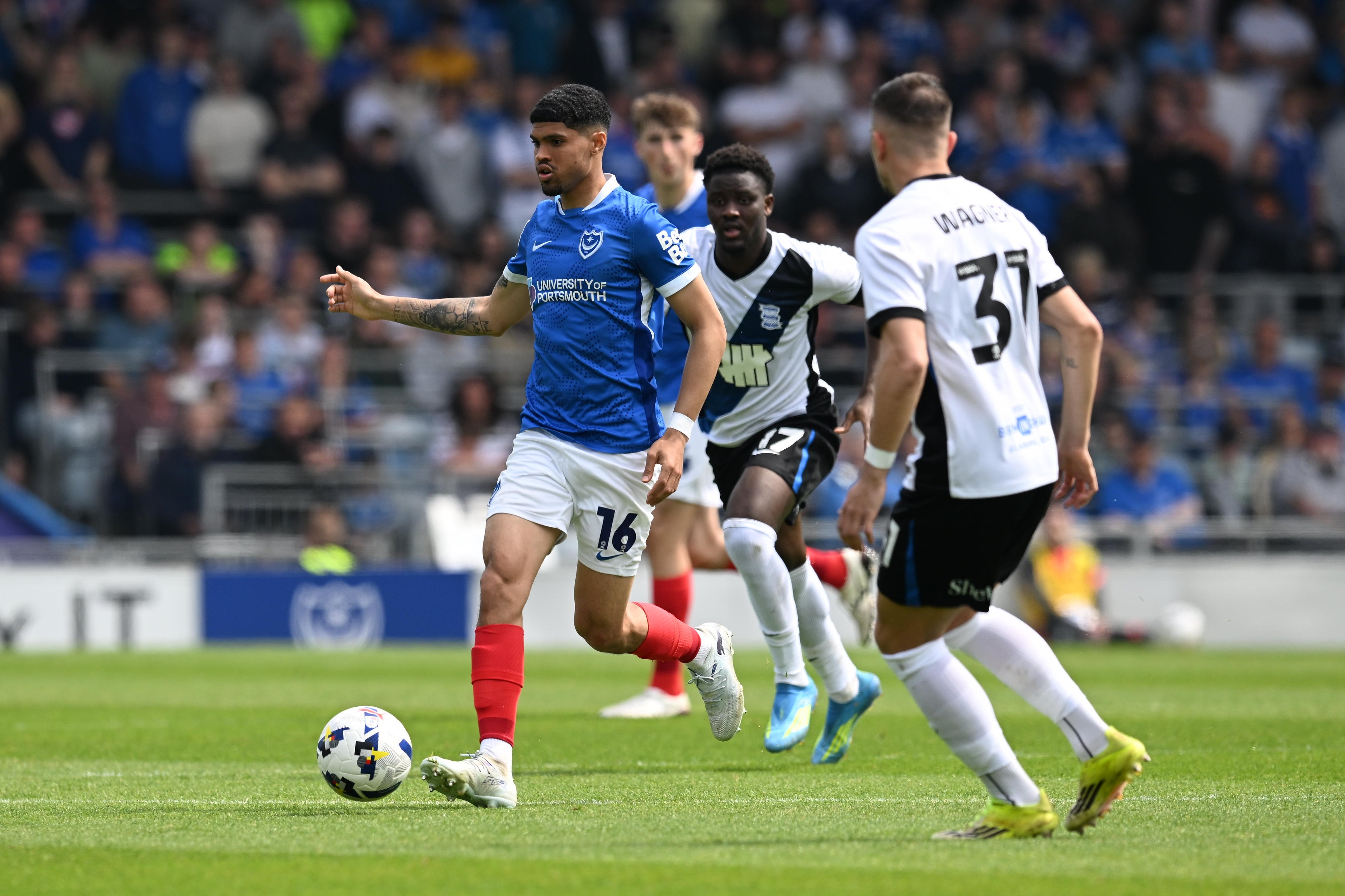 Backfired: Luke Le Roux on how dream Portsmouth move has wrecked his ...