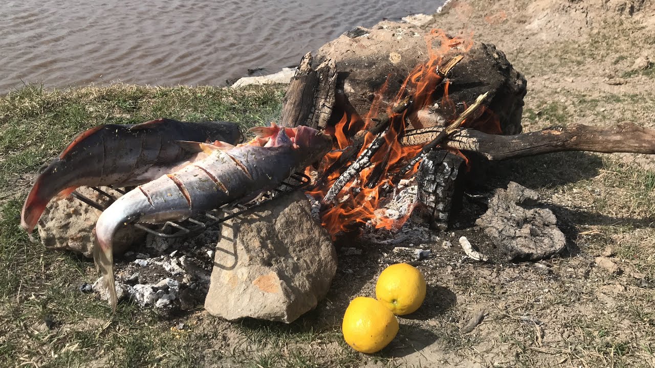 Pesca y cocina de bagres a la parrilla