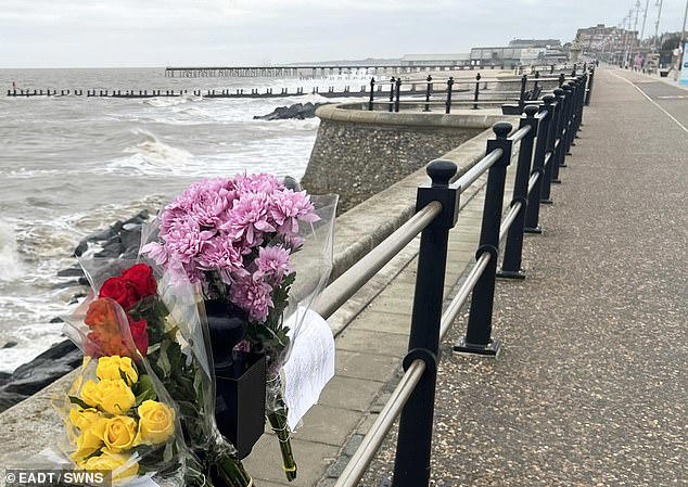 Paramedics helping mum stuck headfirst in sea defence rocks failed to ...