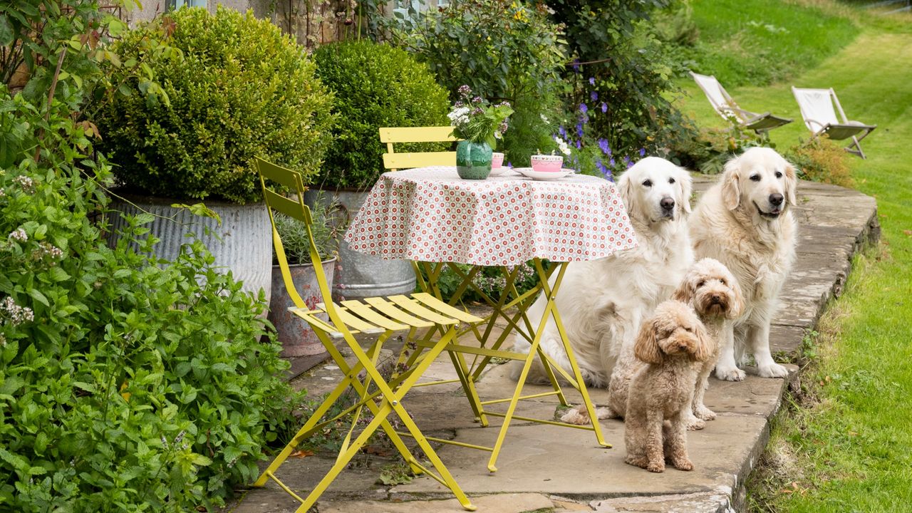 Aldi’s £100 garden dining set is more than £1,000 cheaper than this ...