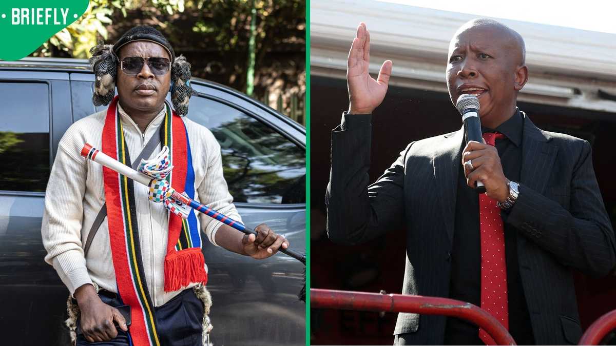 Gauteng High Court rules in favour of EFF's Julius Malema in defamation ...