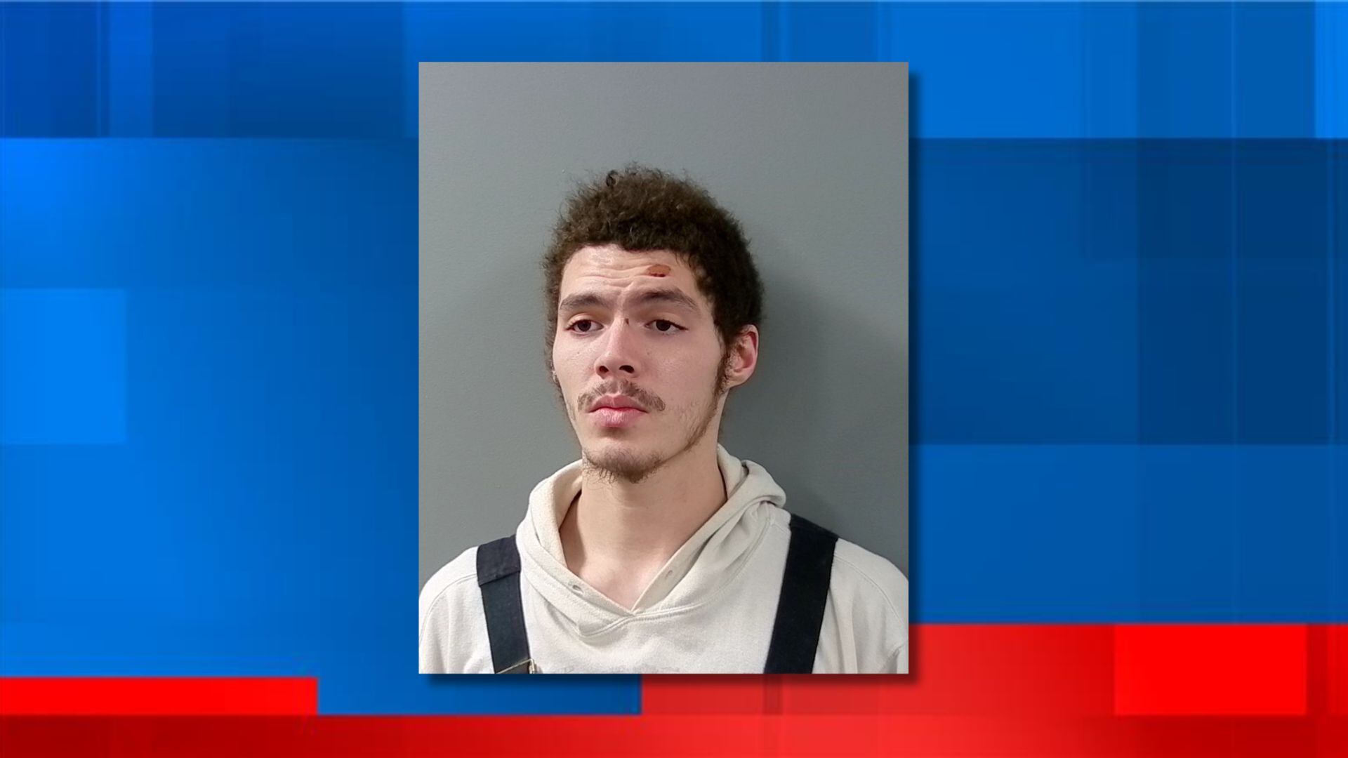 Man accused of attacking Ingham County deputy to appear in court