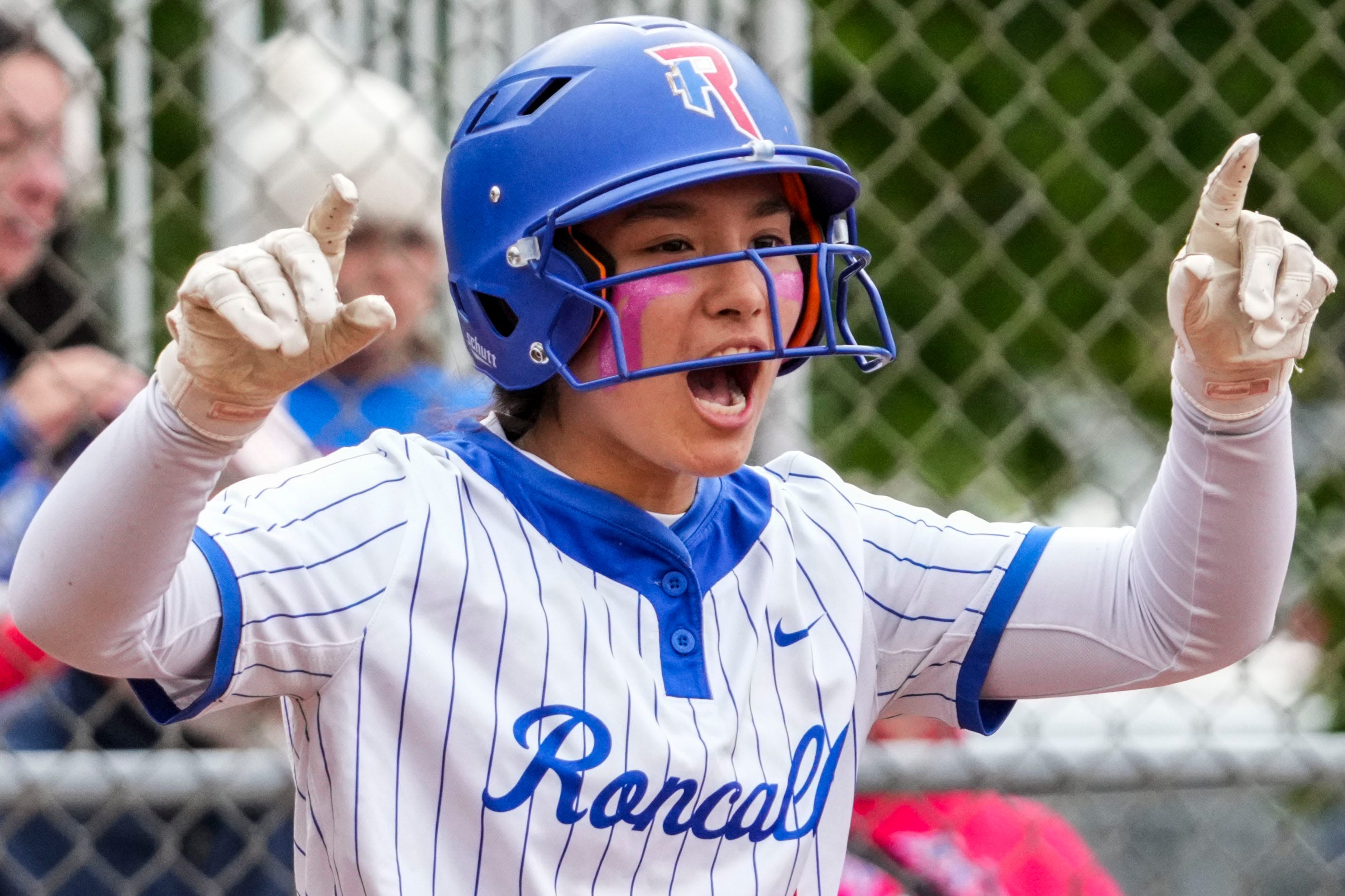 Indiana high school softball all-state teams: Coaches pick IHSAA's top ...