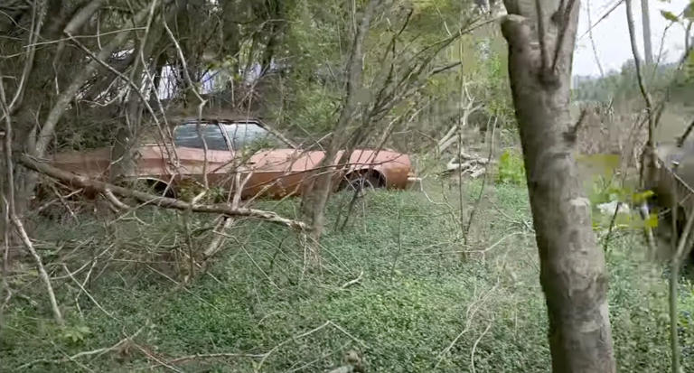 There are 4000 vehicles hidden on this property