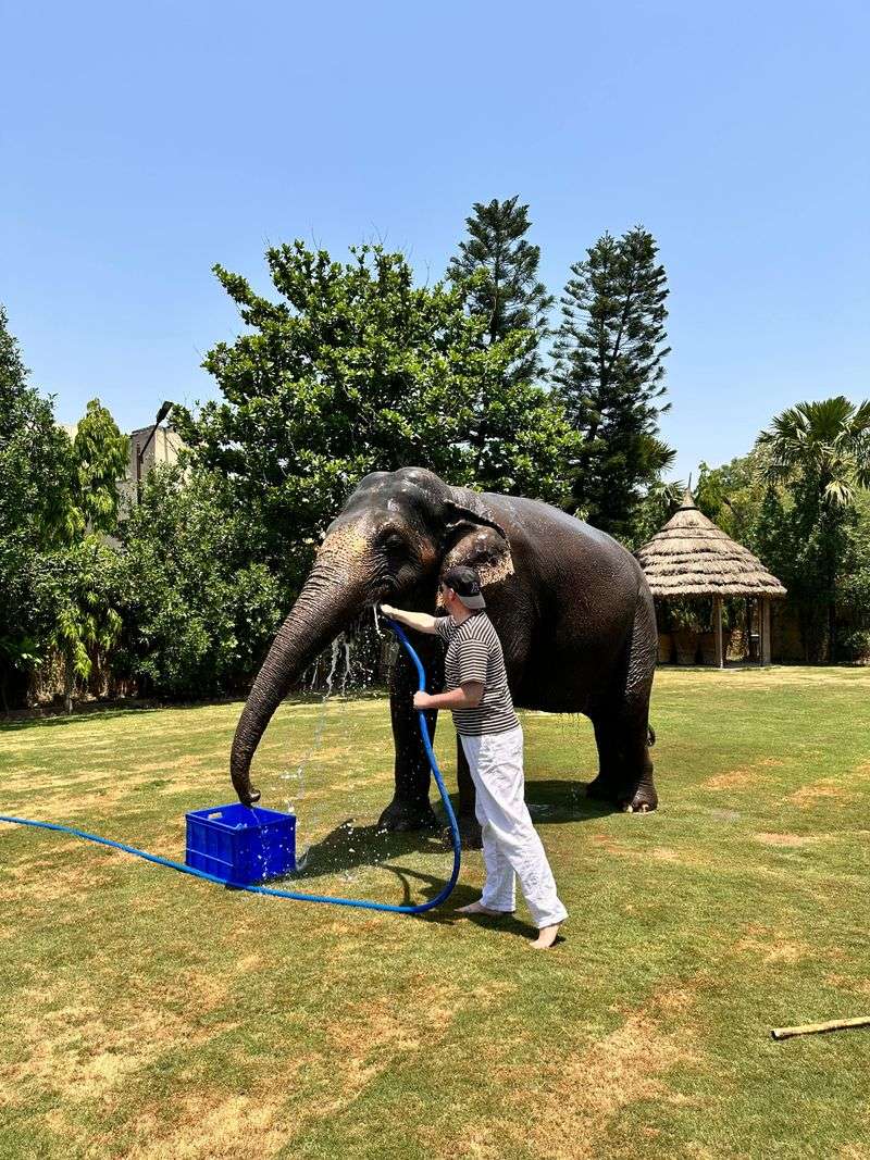 This massive Oregon safari park lets you wash African elephants, feed ...