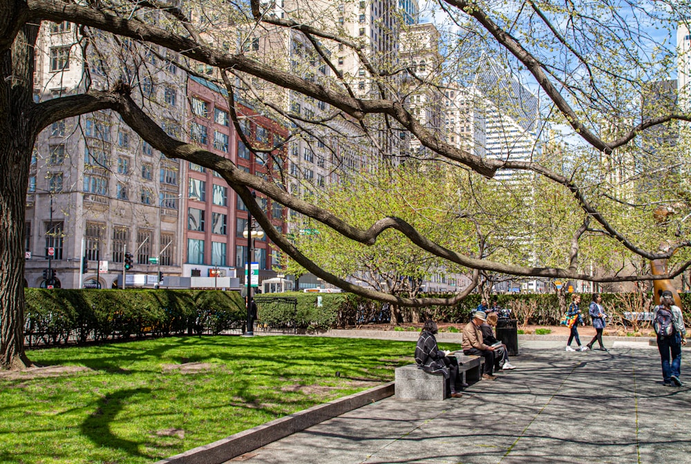 15 Photos of Must-Visit Places in Chicago