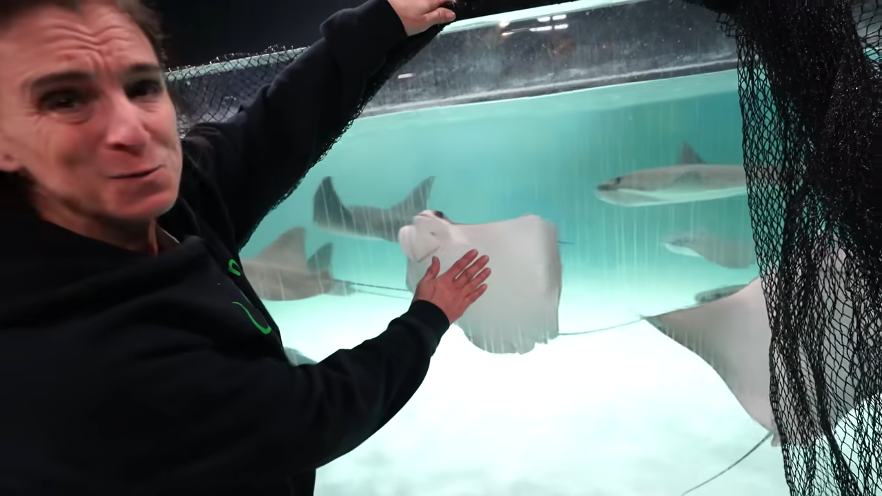 Not every tank goes as planned - The truth about new fish systems