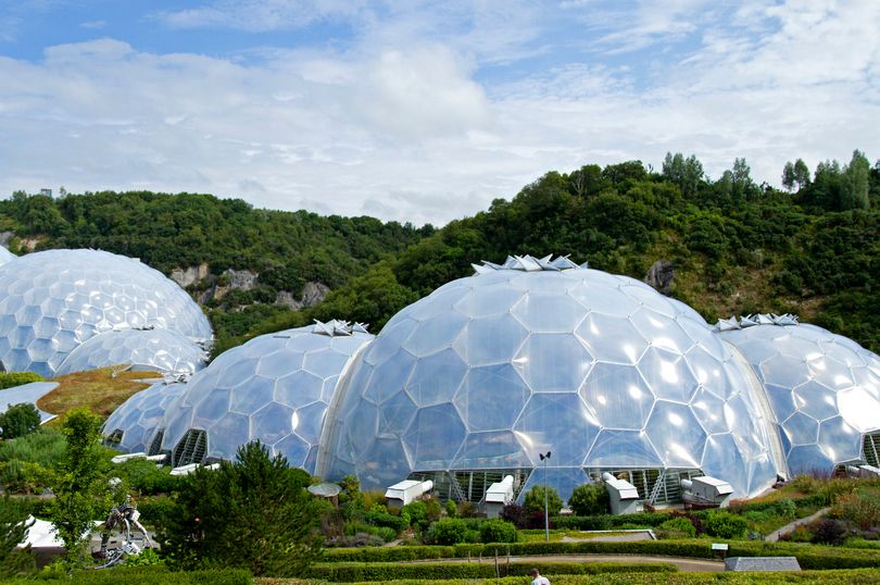 Eden Project makes cryptic security announcement over 'unknown species'