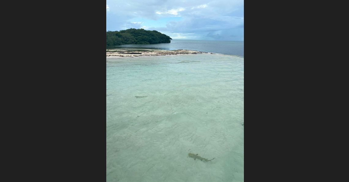 North Carolina man dies snorkeling at remote spot off Florida Keys ...