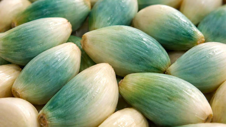 Green or blue garlic in your kitchen? Many people throw it away without ...