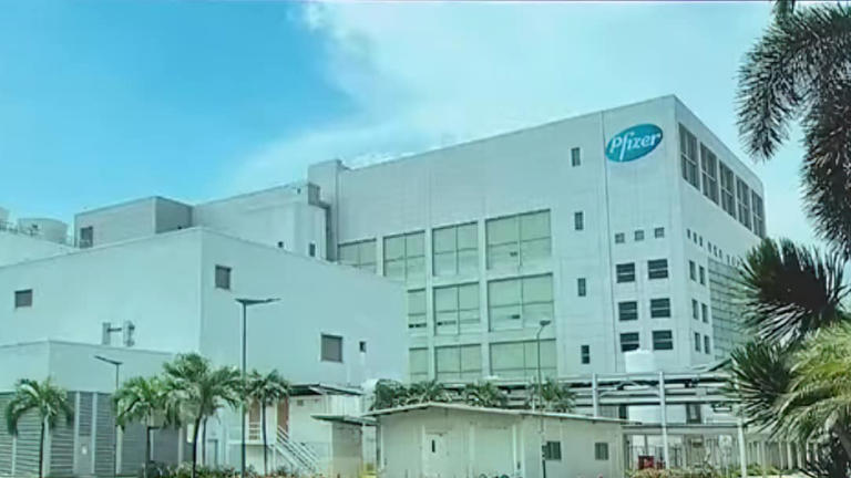 Pfizer declares bumper dividend of Rs 75/share even as Q4 profit slides ...