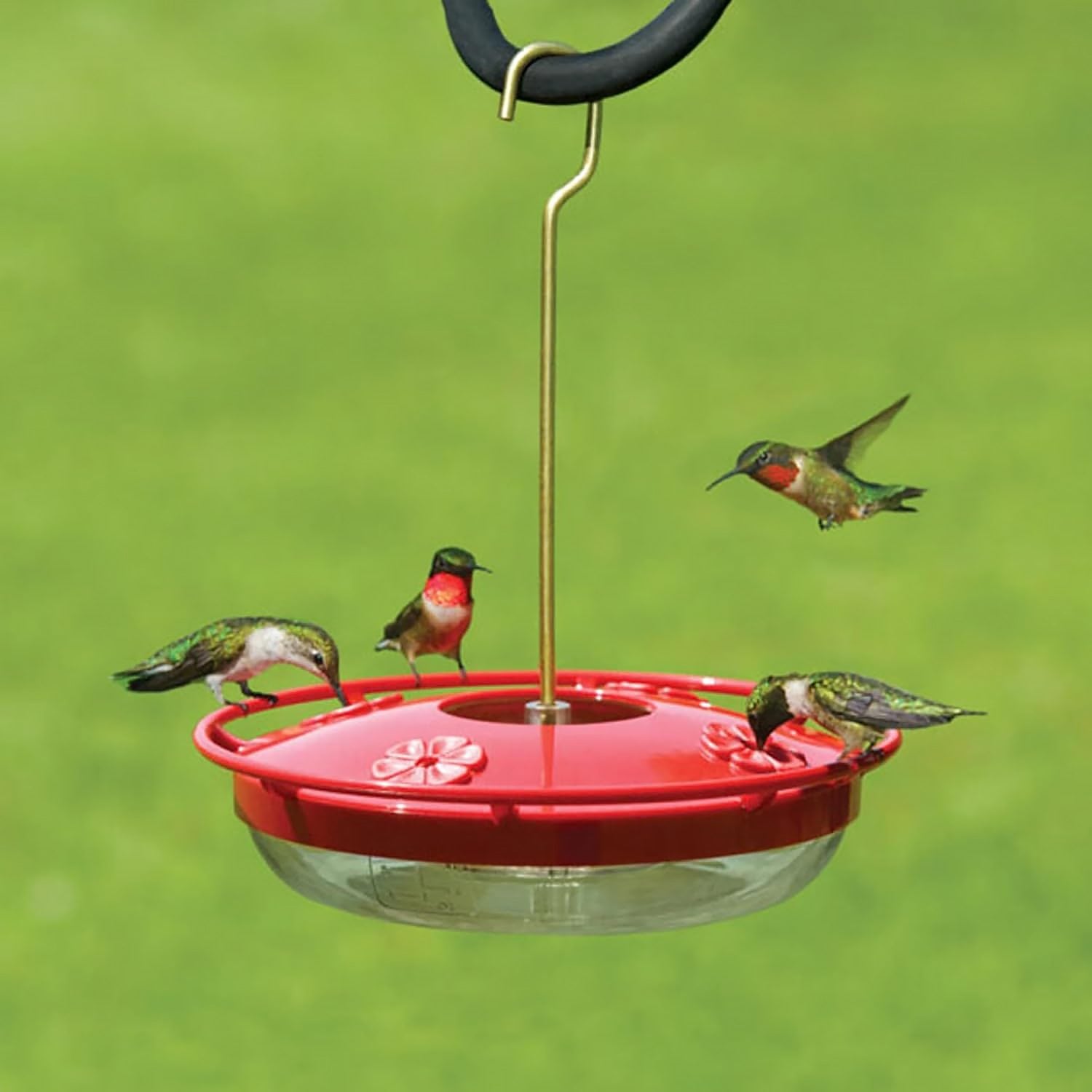 The best hummingbird feeders: 4 top-rated picks from birding experts