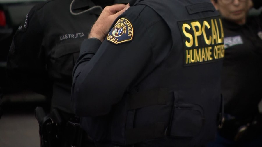 Federal agents, Los Angeles police conduct child pornography sting in ...