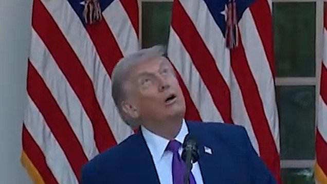 Sir Rod Stewart slams 'ratbag' Donald Trump in front of King Charles