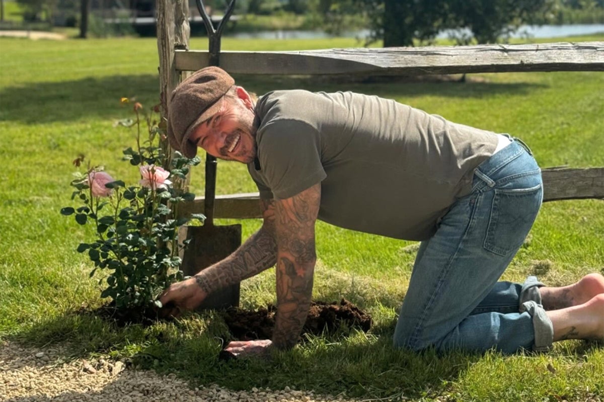 Becks has found the secret to life in a chaotic world – gardening