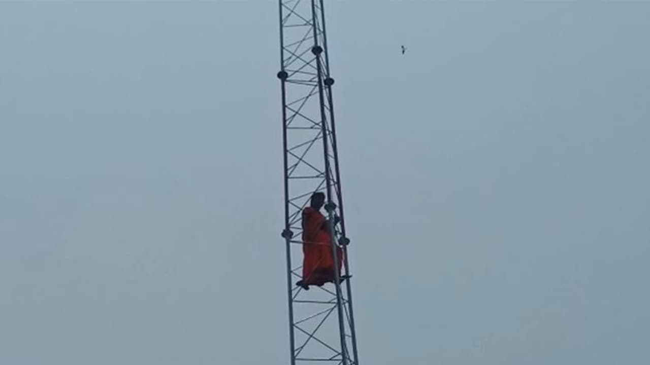 Dramatic 'Sholay' protest: Woman scales tower for jailed husband
