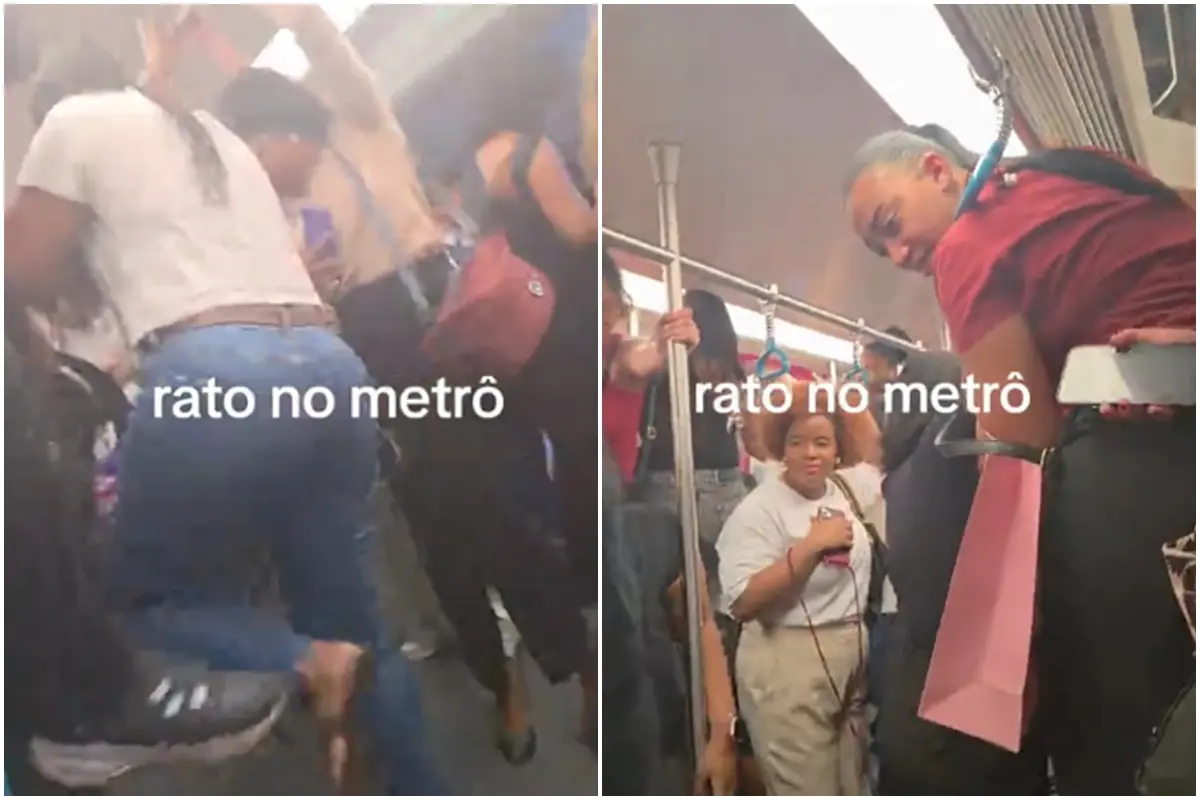 Rato invade vagão feminino do MetrôRio e provoca pânico entre passageiras