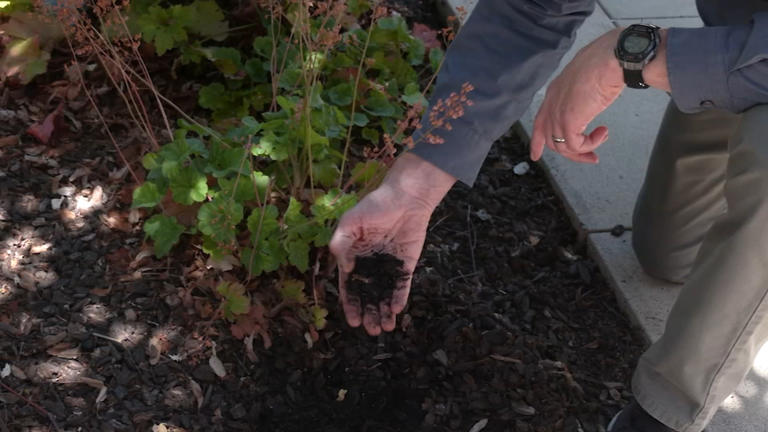 SF startup spreads crushed rock to speed carbon removal and capture ...