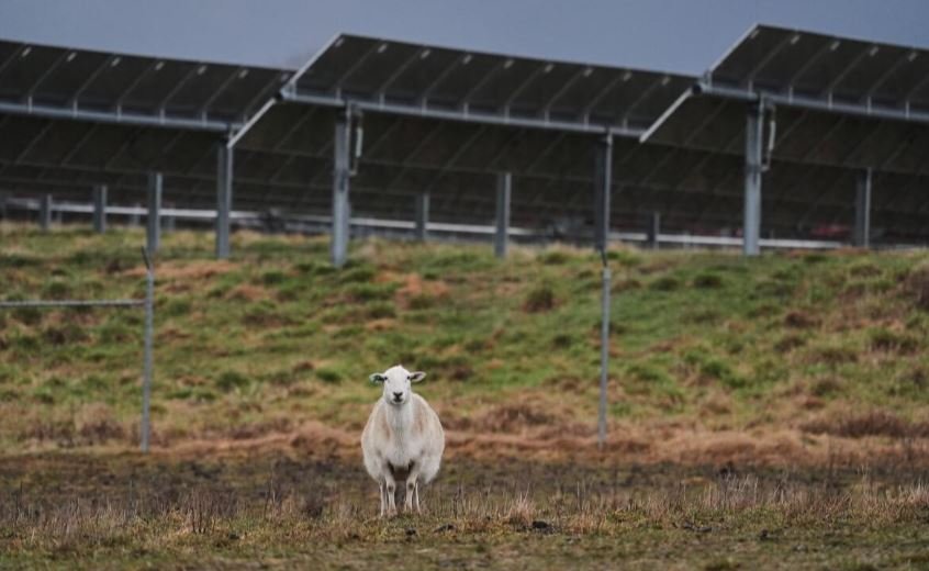 American farmers bet on solar. Then Trump changed the rules.