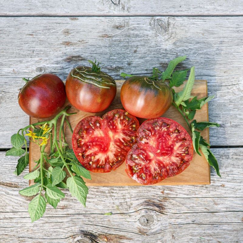 16 tomato varieties that shine from garden bed to plate