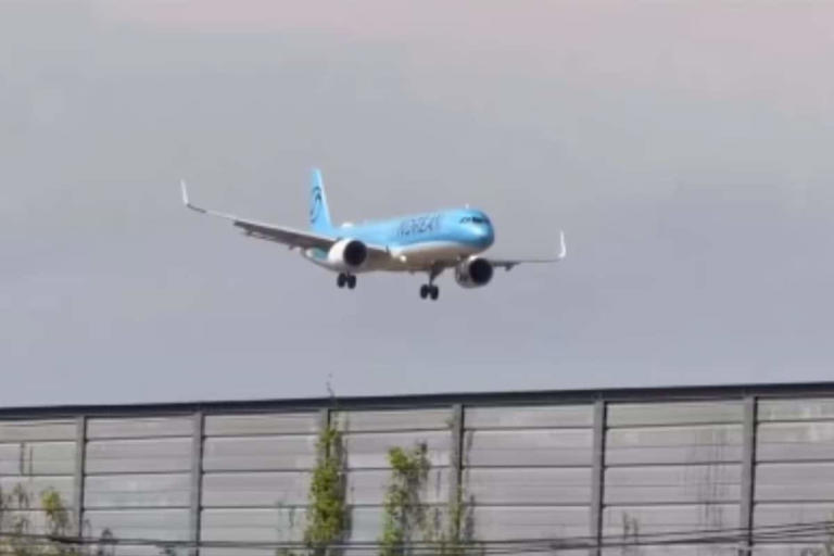 Korean Air flight seen shaking side to side before aborting landing at ...