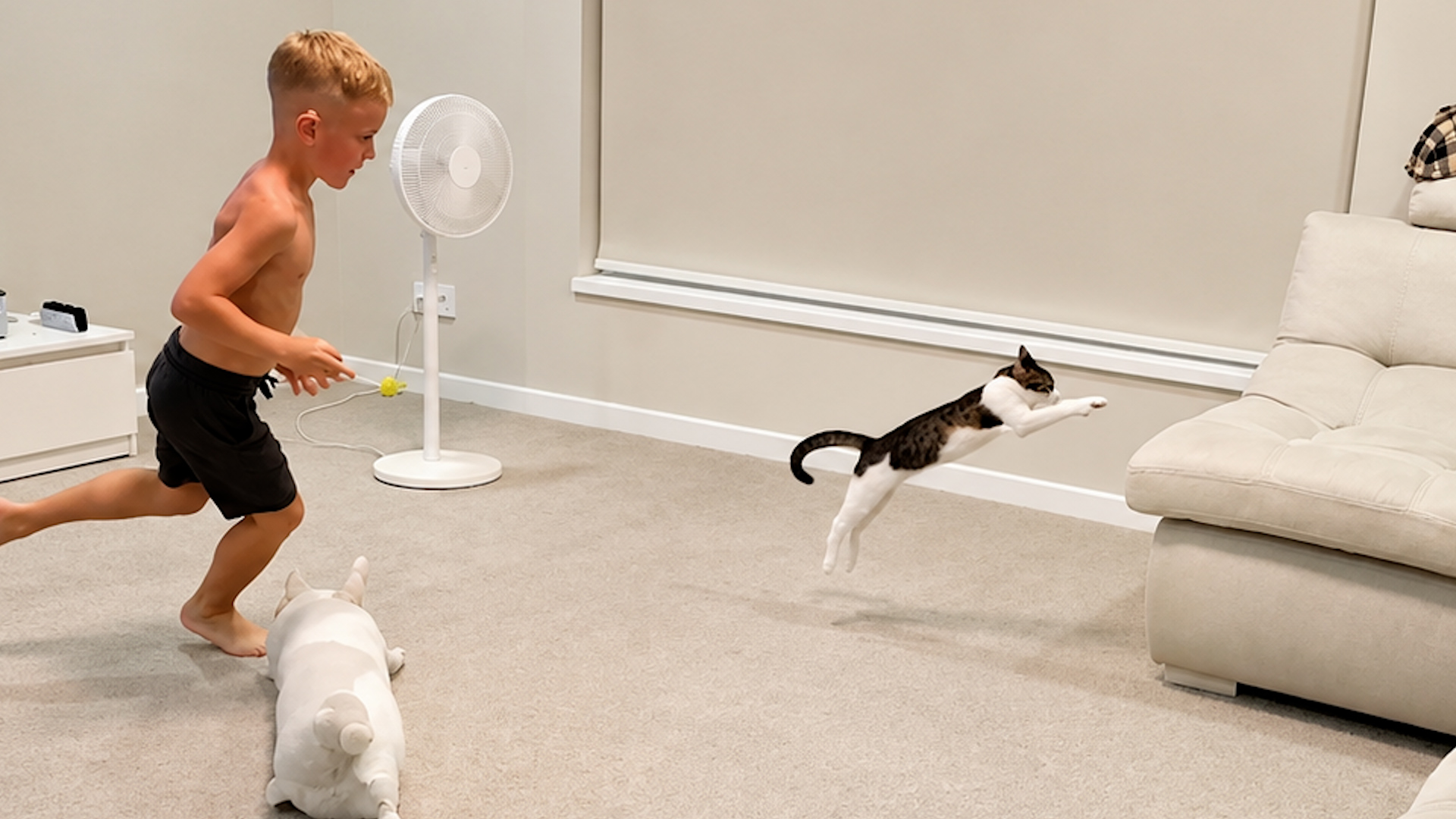 Kitten jumps like a tiny superhero