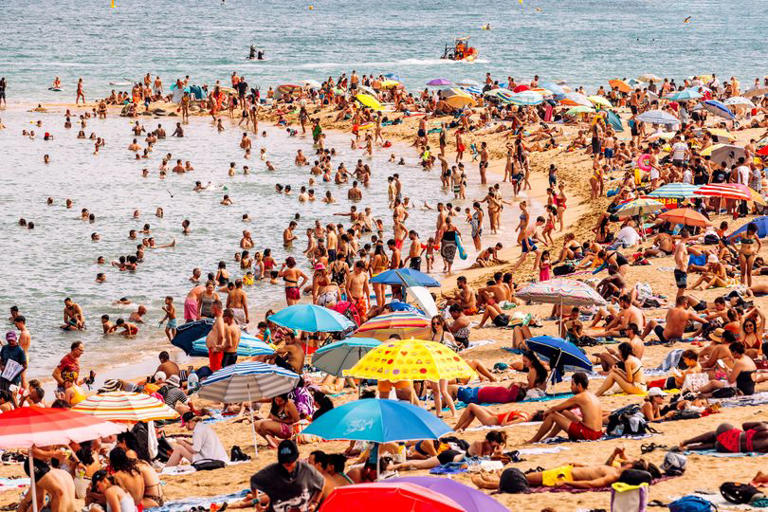 Should you book your summer holiday flight now or wait?